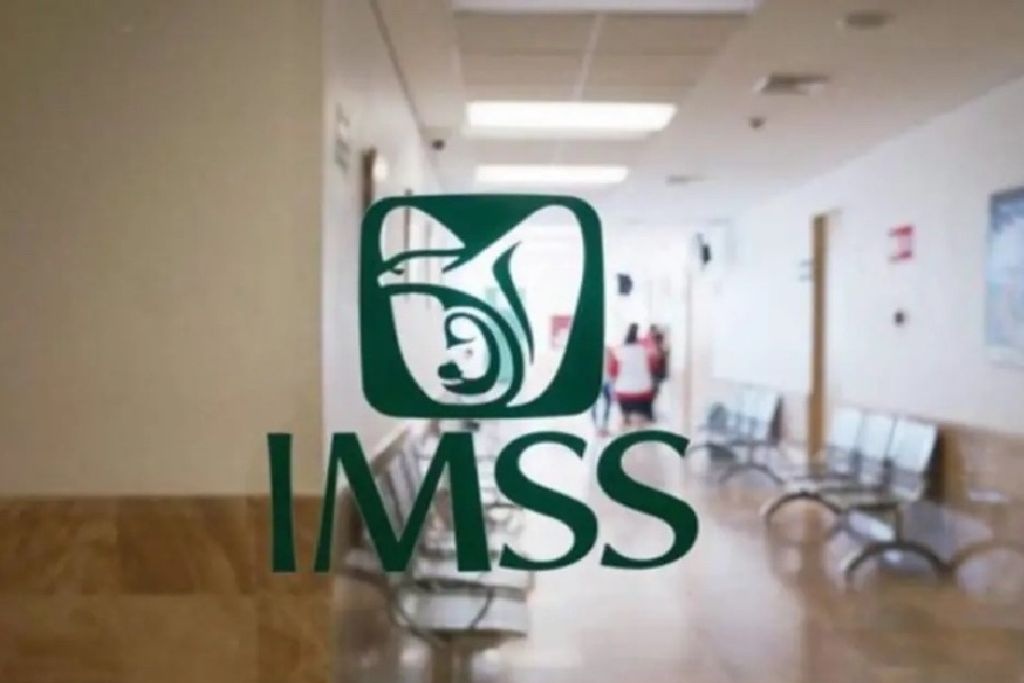 Gobierno De México Publica Decreto Con El Que Se Crea El Imss Bienestar