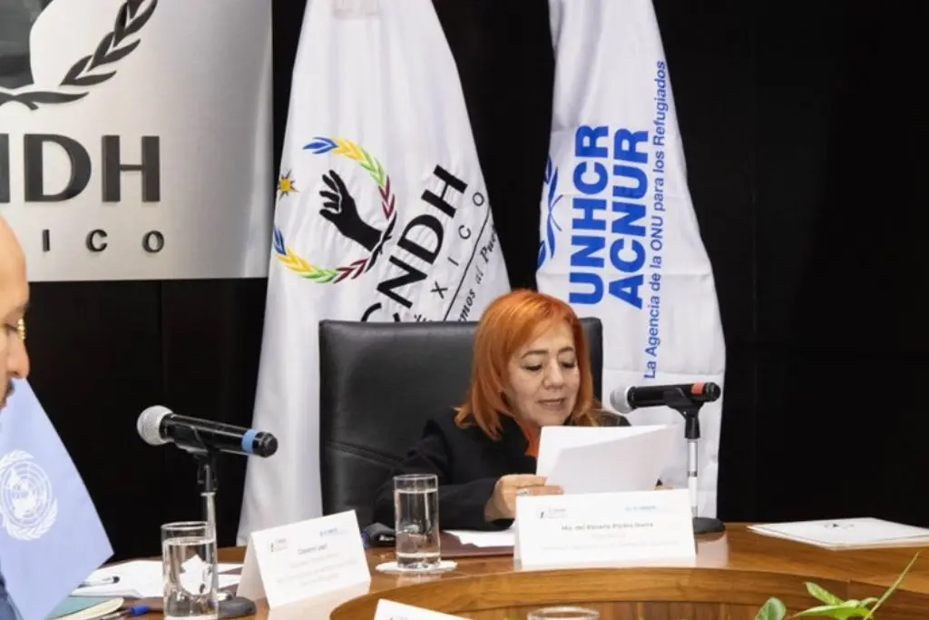 Renuncian todos los integrantes del Consejo Consultivo de la CNDH ... Renuncian todos los integrantes del Consejo Consultivo de la CNDH ...