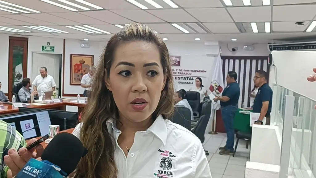 No hay riesgo en la elección por violencia, señala Elizabeth Nava ...