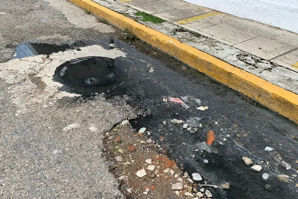 Reportan fuga de agua en la calle Ernesto Malda - xeva Noticias