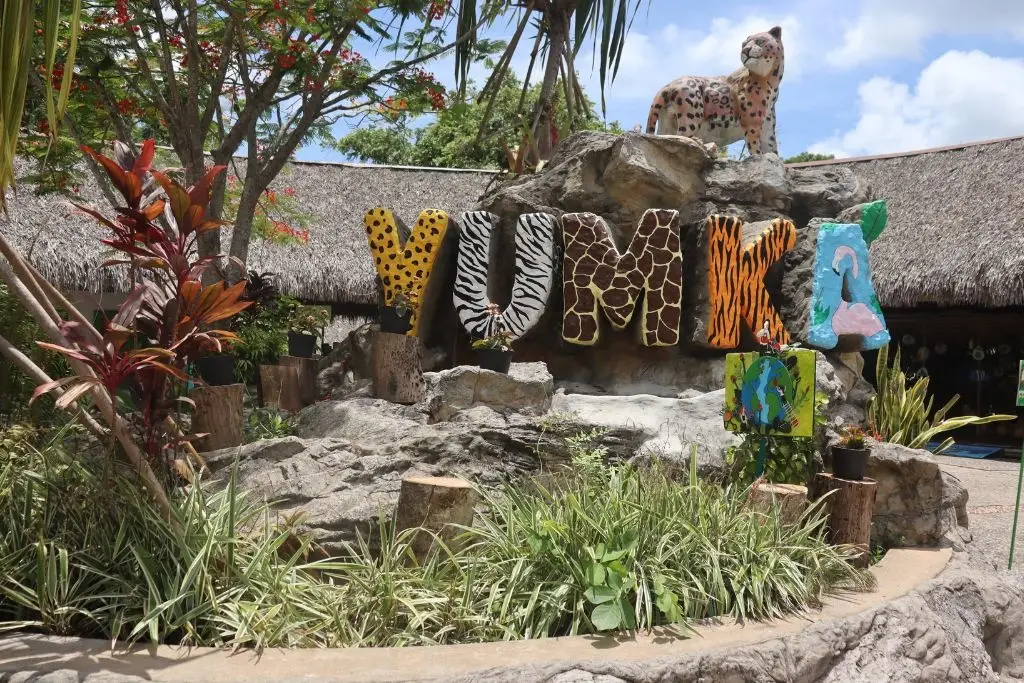 Yumka’ revela el logotipo ganador como nueva imagen - xeva Noticias